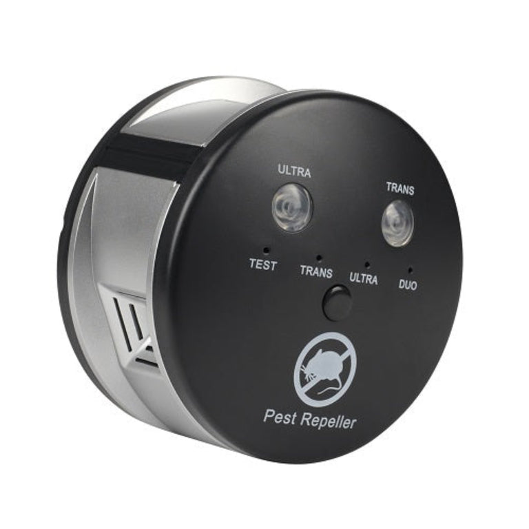 The Termite Zones: Termite Prone Areas in Victoria | Envirobug